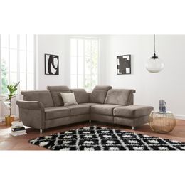 Sit & More sit&more Ecksofa &raquo;Darwin L-Form&laquo; inklusive Federkern, wahlweise mit Kopfteilverstellung, Schlaffunktion braun B/H/T: 249cm x 221cm, Luxus-Microfaser 