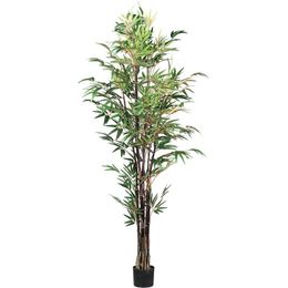 Creativ green Kunstpflanze &raquo;Bambus Chinese Wonder&laquo; mit 7 St&auml;mmen gr&uuml;n B/H/L: 190cm, 1 Stk.