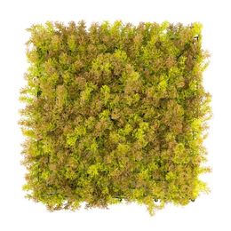 PRIMAflor-Ideen in Textil Kunstpflanze &raquo;Pflanzenwand, 50x50cm&laquo; Wanddeko, realistische Optik, In- und Outdoor geeignet, UV-best&auml;ndig gr&uuml;n Kunststoff B/