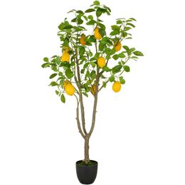 Creativ green Kunstbaum &raquo;Zitrone&laquo; mit detailgetreuer Gestaltung gr&uuml;n Kunststoff B/H/L: 90cm, 1 Stk.