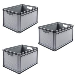 keeeper Transportbeh&auml;lter &raquo;Transportbox robert, 3er Set, 64 L, 60 x 40 x 32 cm&laquo; 40 cm breit 32 cm hoch 60 cm lang Set, 3 Stk. tlg. s&auml;ure- und 