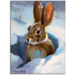 Artland Leinwandbild &raquo;Schneehase&laquo; Wildtiere 1 Stk. tlg. auf Holzrahmen gespannt wei&szlig; Leinwand B/H/T: 30cm x 40cm, Leinwandbild Wildtiere Hochformat, 1 Stk.