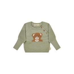 Sterntaler Strickpullover B&auml;r in puder green | Gr.: 68