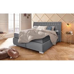 LEONIQUE Boxspringbett &raquo;Rumba&laquo; Taschenfederkern-Matratze in H&auml;rtegrad 3, in 4 Breiten, incl. Topper grau Samtoptik (100% Polyester) Liegefl&auml;che B/L: 160cm x 