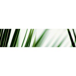 Express K&uuml;chen K&uuml;chenr&uuml;ckwand &raquo;Gr&auml;ser&laquo; gr&uuml;n B/H: 240cm x 55,9cm K&uuml;chenr&uuml;ckwand