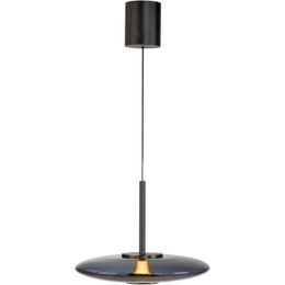 Neuhaus PURE LED Pendelleuchte &raquo;PURE E-Vitrum&laquo; LED-Board 1 Stk. warmwei&szlig; - kaltwei&szlig; e-LIFT -Funktion, CCT, dimmbar &uuml;ber Fernbed&iacute;enung 1, &Oslash; 45cm H: 