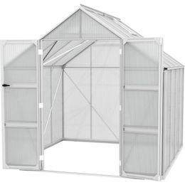 Vitavia Gew&auml;chshaus &raquo;Domus 6700&laquo; mit Doppelschwingt&uuml;ren und bodentiefer T&uuml;rschwelle, 6 mm Hohlkammer silber B/H/T: 257cm x 253,9cm x 263cm