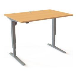 STIER Elektrisch h&ouml;henverstellbarer Schreibtisch 501-43 120 x 80cm Buche mel. 65-125cm (907763)