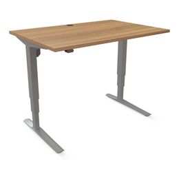 STIER Elektrisch h&ouml;henverstellbarer Schreibtisch 501-43 120 x 80cm Nussbaum mel. 65-125cm (907764)