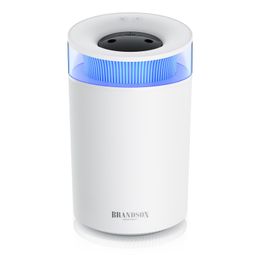 Brandson Aroma Diffuser und Ultraschall Luftbefeuchter 2,5 l, Stimmungslicht, 2 Dampfausg&auml;nge, inklusive 10 ml Aroma&ouml;l, f&uuml;r Wohn und Schlafzimmer, Yoga, Spa