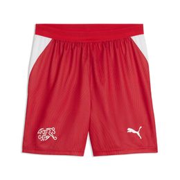 Puma Workout Pants 'Schweiz 2026' male size XXXL Navy / Light blue