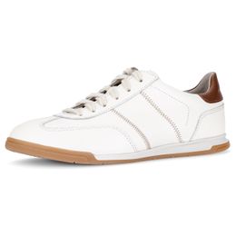 Pius Gabor Herren Sneaker, Gr. 11,5sanftes wei&szlig;, cognac, Nappaleder, Schuhe, Freizeitschuh, Komfortschuh, Schn&uuml;rschuh mit Kontrastn&auml;hten, G-Weite