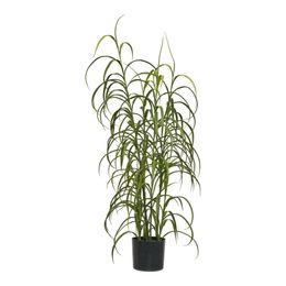 House Nordic k&uuml;nstliche Graspflanze Gr&uuml;n H:68 cm Gr&uuml;n - 36 x 36 x 89 cm skandinavische Deko Online Shop
