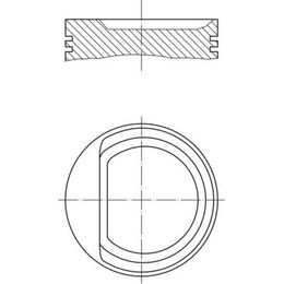 Mahle Kolben 0102901