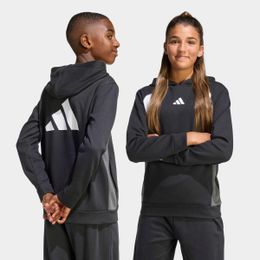 Jungen Kapuzensweatshirt "COLOR BLOCK HOODIE"schwarz, grau six, wei&szlig;, Gr. 152, adidas Sportswear, Obermaterial: 70% Baumwolle, 30% Polyester,