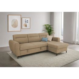 Ecksofa TRENDS BY HG, B:248cm H:87cm T:153cmd516 enjoy new 36 antelop, 92% Polyester;8% Nylon, Wohnzimmer, Sofas, "Bella L-Form, B: 248 cm", mit
