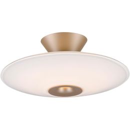 Paul Neuhaus LED Deckenleuchte &raquo;ELIPSA&laquo; LED-Board 1 Stk. Warmwei&szlig; Dimmf&auml;hig &uuml;ber separaten Tronicdimmer, Opalglas gold 1, &Oslash; 35cm H: 14,8cm, 1 Stk.