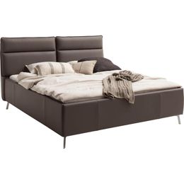 Home Affaire Polsterbett &raquo;Cozy Town&laquo; inkl. 7-fache Einlegetiefenverstellung & saugroboterfreundliche H&ouml;he braun 100% Leder Liegefl&auml;che L&auml;nge B: 200cm 