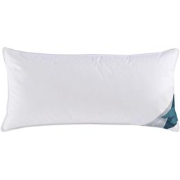 H&auml;ussling Federkissen &raquo;Kuscheltraum Kissen medium, in 40x80 & 80x80 cm&laquo; F&uuml;llung: 85% Federn, 15% Daunen 1 Stk. tlg. Kopfkissen mit Milbenbarriere &ndash; gepr&uuml;fter 