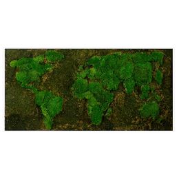 Bild mit Rahmen &raquo;Moosbild "Weltkarte" 60x120 cm, wei&szlig;er Rahmen&laquo; 1 Stk. tlg. handgefertigt, jedes Bild ein Unikat gr&uuml;n Holzwerkstoff B/H/T: 120cm x 