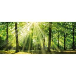 Leinwandbild &raquo;Wandbild WALD &ndash; Leinwandbild Keilrahmen&laquo; B&auml;ume Natur Wald 1 Stk. tlg. auf Keilrahmen gespannt gr&uuml;n Canvas, MDF B/H/T: 140cm x 60cm x 2cm