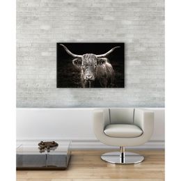 Leinwandbild &raquo;Wandbild HOCHLANDRIND 60x90 cm &ndash; Leinwandbild Keilrahmen Deko modern&laquo; Kuhbilder 1 Stk. tlg. auf Keilrahmen gespannt schwarz Canvas, MDF 