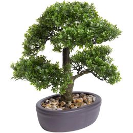 Kunstbonsai &raquo;Ficus Bonsai&laquo; gr&uuml;n Kunststoff &Oslash;/H: 32cm x 32cm, 1 Stk.