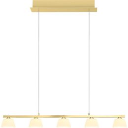 HELL h&ouml;llisch gutes Licht LED Pendelleuchte &raquo;JANE&laquo; LED-Modul 1 Stk. Extra-Warmwei&szlig; Tastdimmer, Dim to warm, Stufenlos h&ouml;henverstellbar gold 5, 1 Stk.