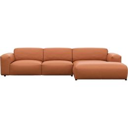 FLEXLUX Ecksofa &raquo;Lucera bequem und komfortabel durch hochwertigen Sitzaufbau, L-Form&laquo; modern & anschmiegsam, Kaltschaum, Stahl-Wellenunterfederung 