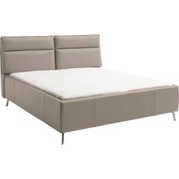 Home Affaire Polsterbett &raquo;Cozy Town&laquo; inkl. 7-fache Einlegetiefenverstellung & saugroboterfreundliche H&ouml;he beige 100% Leder Liegefl&auml;che L&auml;nge B: 200cm 