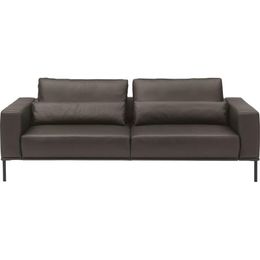 Musterring 3-Sitzer &raquo;JustB!PM100, 222 cm breit, aus hochwertigem Leder&laquo; wahlweise mit Nierenkissen und mot. Sitzauszug, Metallfu&szlig; in schwarz braun 100% Leder B/H