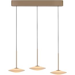 Paul Neuhaus LED Pendelleuchte &raquo;ELIPSA&laquo; LED-Board 1 Stk. Warmwei&szlig; Dimmf&auml;hig &uuml;ber separaten Tronicdimmer, Comfort-Lift 3, &Oslash; 20cm H: 80cm, 1 Stk.