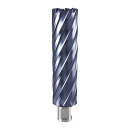 Ruko Kernbohrer HSS-TiAlN mit Weldonschaft (3/4 Zoll) Durchmesser 20 mm Schnitttiefe 110 mm (1082020F)