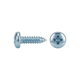 DIN 7981-C/ISO 7049 Form CZ Linsenkopf-Blechschraube VG 2,2x22 Stahl galvanisch verzinkt PZ ; Industrial Quality Supplies (079810160022022)