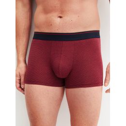 Calida New Boxer in garnet | Gr.: XL