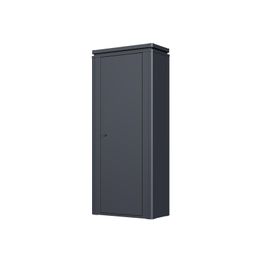 Weide Noble Gartenschrank 600 L Verzinkter Stahl Anthrazit