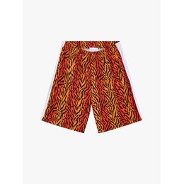 BLUE SKY INN Pants 'Tiger' male size 32 Dark orange