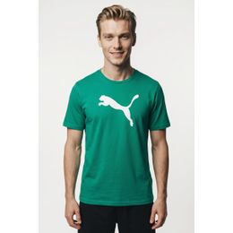 Puma Herren Fu&szlig;balltrikot "TEAMRISE LOGO JERSEY COTTON", gr&uuml;n, Gr. S, unifarben, Jersey, Obermaterial: 100% Baumwolle, Trikots, f&uuml;r Fu&szlig;ball, Kurzarm,