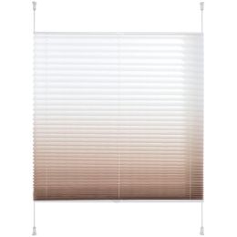 Plissee Liedeco, B:40cm H:130cm, braun, Obermaterial: 100% Polyester, Badezimmer, Plissees, "Farbverlauf"