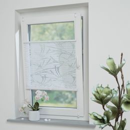 Plissee Liedeco, B:55cm H:130cm, wei&szlig;, K&uuml;che, Plissees, "Klemmfix-Plissee Ausbrenner "Symphonie" verspannt, wei&szlig;", Ausbrenner, Halbtransparent,