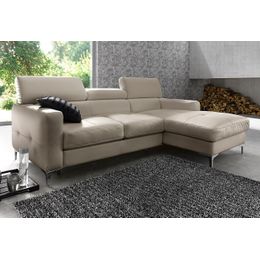 COTTA Ecksofa "Sammy L-Form", B/H/T: 226cm x 92cm x 105cm, Leder PAMPAS, Recamiere rechts,mit Bettfunktion,mit Kopfteilverstellung, grau, Microfaser