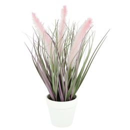 Kunstpflanze I.GE.A., B:16cm H:35cm L:14cmburgund, Kunststoff, Kunstpflanzen, "Ziergras mit rosa Federbl&uuml;ten im wei&szlig;en Topf, 35 cm hoch", Grasbusch