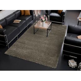 Hochflor-Teppich, B:240cm H:45mm L:340cm, grau, OCI DIE TEPPICHMARKE, Obermaterial: 100% Polypropylen, Teppiche, "MONTIS", uni, Langflor, Shaggy,