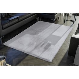 Hochflor-Teppich, B:120cm H:35mm L:170cm, grau, OCI DIE TEPPICHMARKE, Polyester, Teppiche, "ROCKY SOFT, Fell Haptik", Kunstfell, weich, kuschelig,