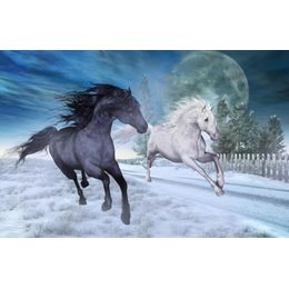 papermoon Fototapete "PFERDE-NATUR MOND TIERE PONY B&Auml;UME PFERD WANDBILD DEKO", B/L: 2m x 1,49m, Bahnen: 4 Stk., bunt, Schlafzimmer, Tapeten