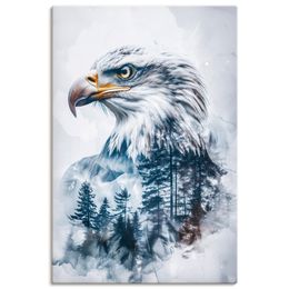 Wandbild Artland, B:80cm H:120cm, wei&szlig;, Leinwand, Wohnzimmer, Bilder, "Wei&szlig;kopfadler", als Alubild, Leinwandbild, Poster, Wandaufkleber in verschied.