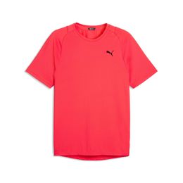 Puma Herren Trainingsshirt "M PWRMODE TEE", pink, Gr. S, Jersey, Obermaterial: 92% Polyester, 8% Elasthan, Shirts, Regular Fit, kurz&auml;rmelig,