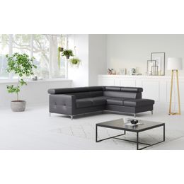COTTA Ecksofa "Sammy L-Form", B/H/T: 239cm x 74cm x 207cm, Leder PAMPAS, Ottomane rechts, ohne Bettfunktion,mit Kopfteilverstellung, schwarz,
