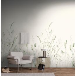 Livingwalls LIVING WALLS Fototapete "The Wall 4 Botanic &ndash; Filigrane Gr&auml;serwiese Vlies-Fototapete", B/L: 1,59m x 2,8m, Rollen: 1, gr&uuml;n, Schlafzimmer, Tapeten,
