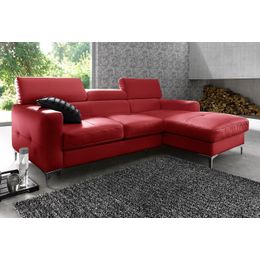 COTTA Ecksofa "Sammy L-Form", B/H/T: 226cm x 92cm x 105cm, Leder PAMPAS, Recamiere rechts,mit Bettfunktion,mit Kopfteilverstellung, rot, Microfaser